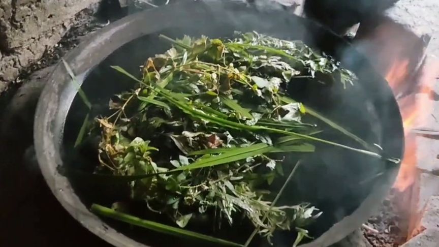 你知道在农村,端午节煮艾叶草水洗澡,是怎么一个出炉流程吗?