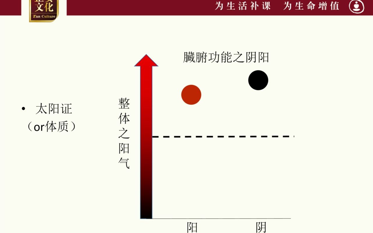 倪海厦老师弟子施合一中医基础 04.什么是《伤寒论》三阴三阳