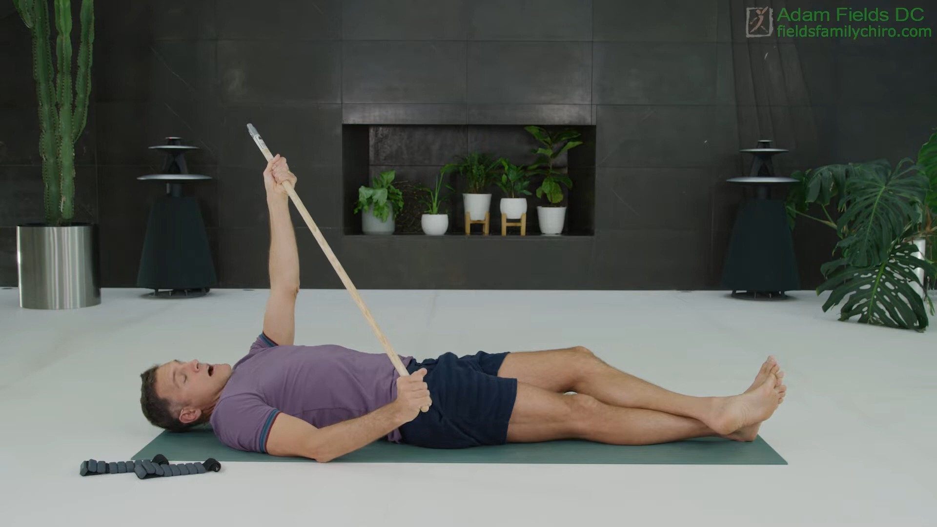 肱骨近端骨折 第 10-11 周 | 肩胛骨稳定练习和被动 ROM | 阶段10