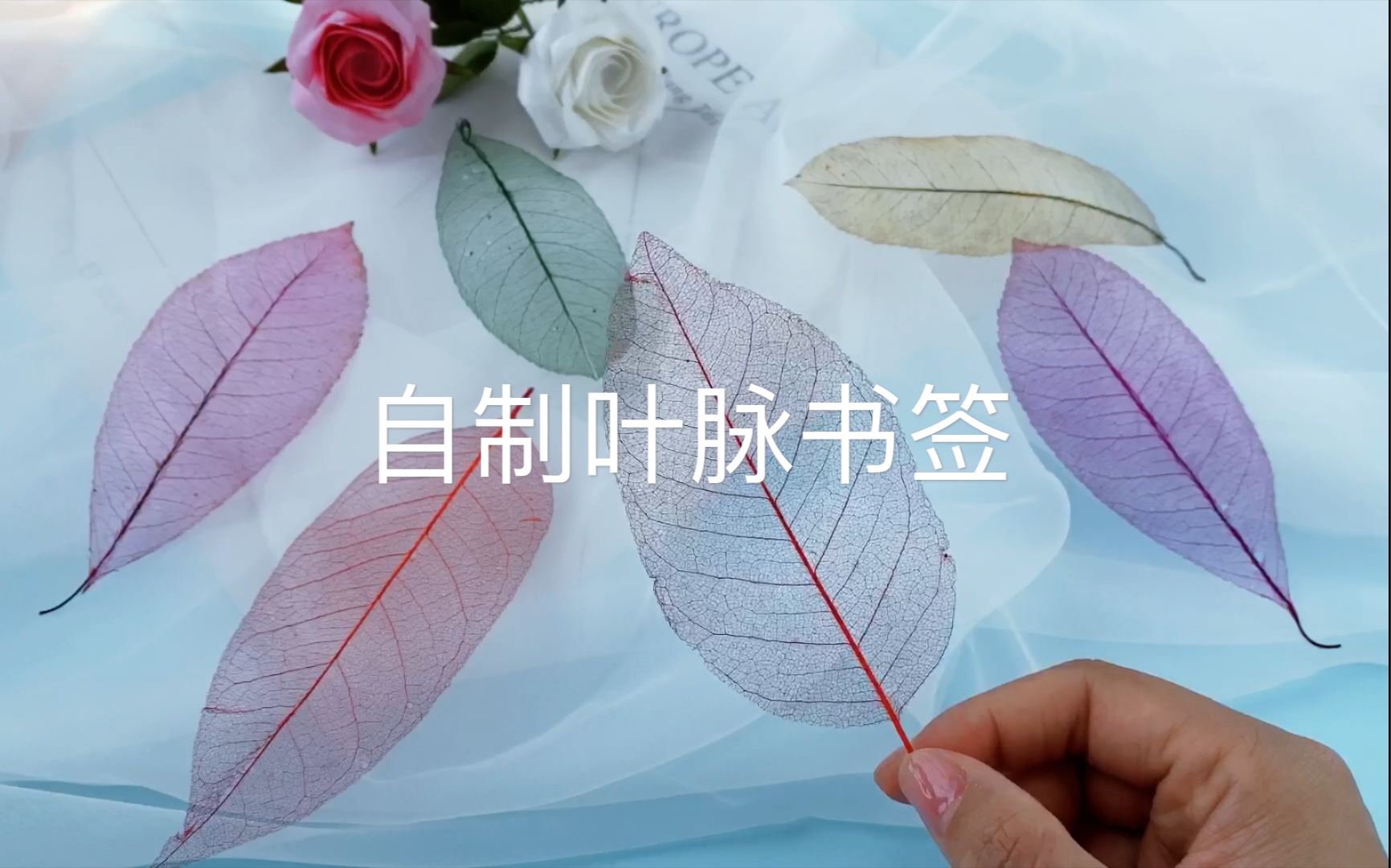 “叶脉书签”,原来这么简单就能做好!