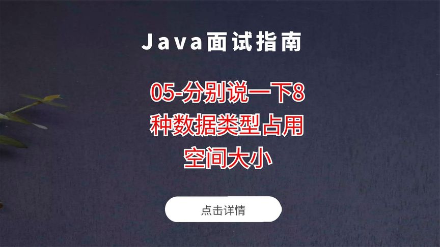 Java面试指南05-分别说一下8种数据类型占用空间大小?