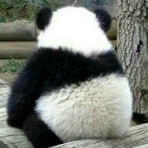 咧咧咧陈宗正 