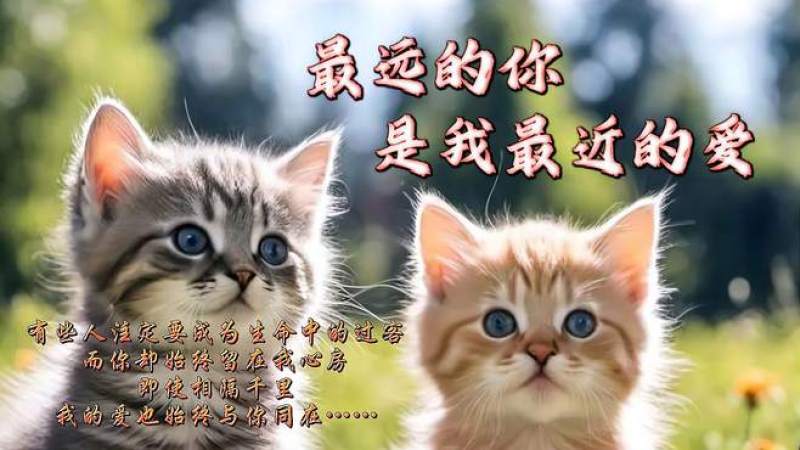 有些人注定要成为生命中的过客,而你却留在我心房,即使相隔千里
