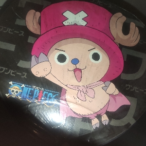 赶驴的小文 
