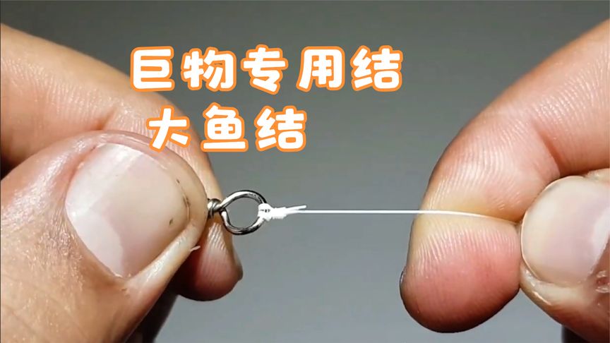 路亚八字环连接器专用的大鱼结,钓到巨物不用怕!