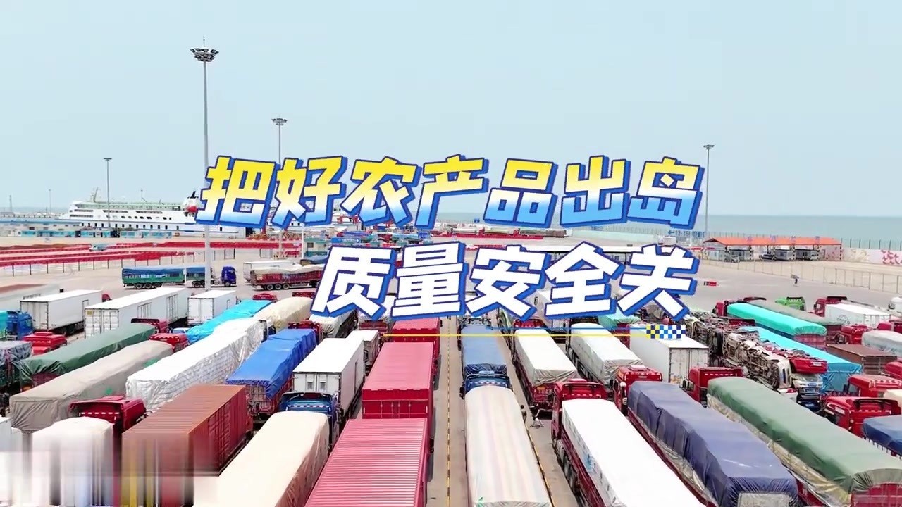 把好农产品出岛质量安全关