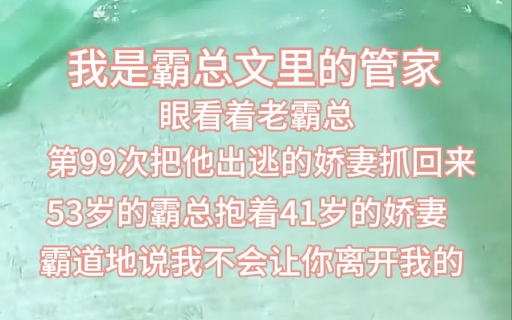 我是霸总文里的管家,我会对夫人说老爷好久没这样笑过了