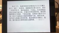 小说环境描写的作用