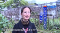 ...中小学劳动实践基地建设现场观摩暨劳动实践教育经验交流活动(琴潭)