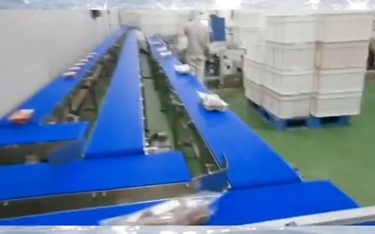 分拣线输送线系统带料测试
