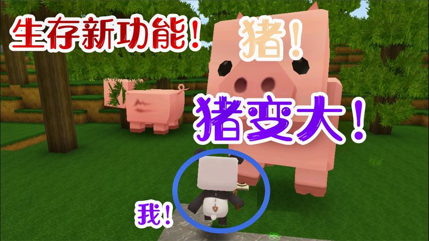 迷你世界-生存新功能,猪变无限大,生存新版本用插件包的方法