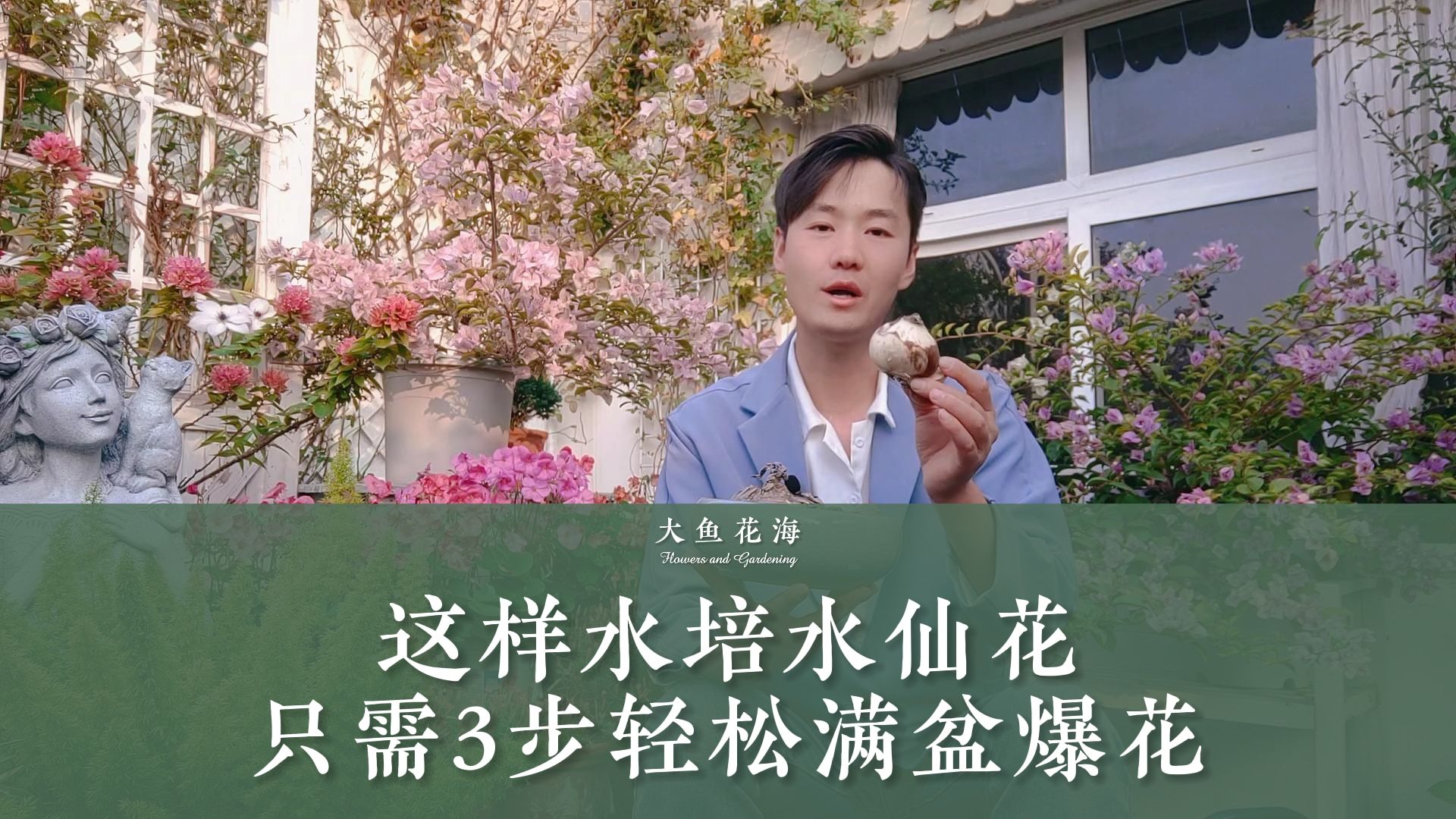 水仙花按照这个方法水培,只需要三步,轻松实现满盆爆花!