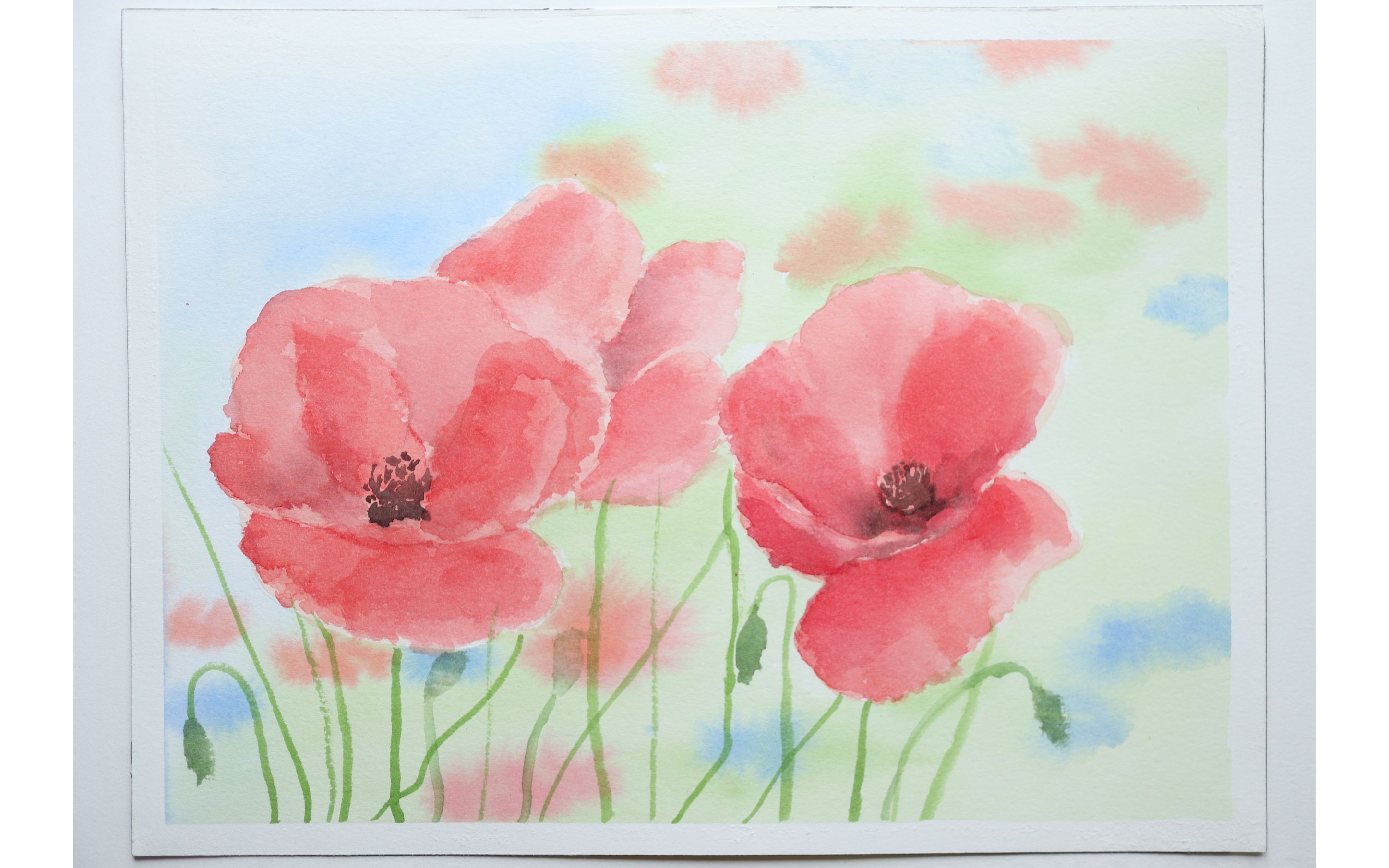 【水彩教程】娇艳欲滴的花儿 简单水彩画新手教程