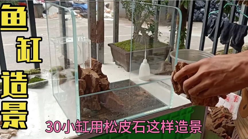 松皮石造景30水陆小缸,这烟雾效果太好了