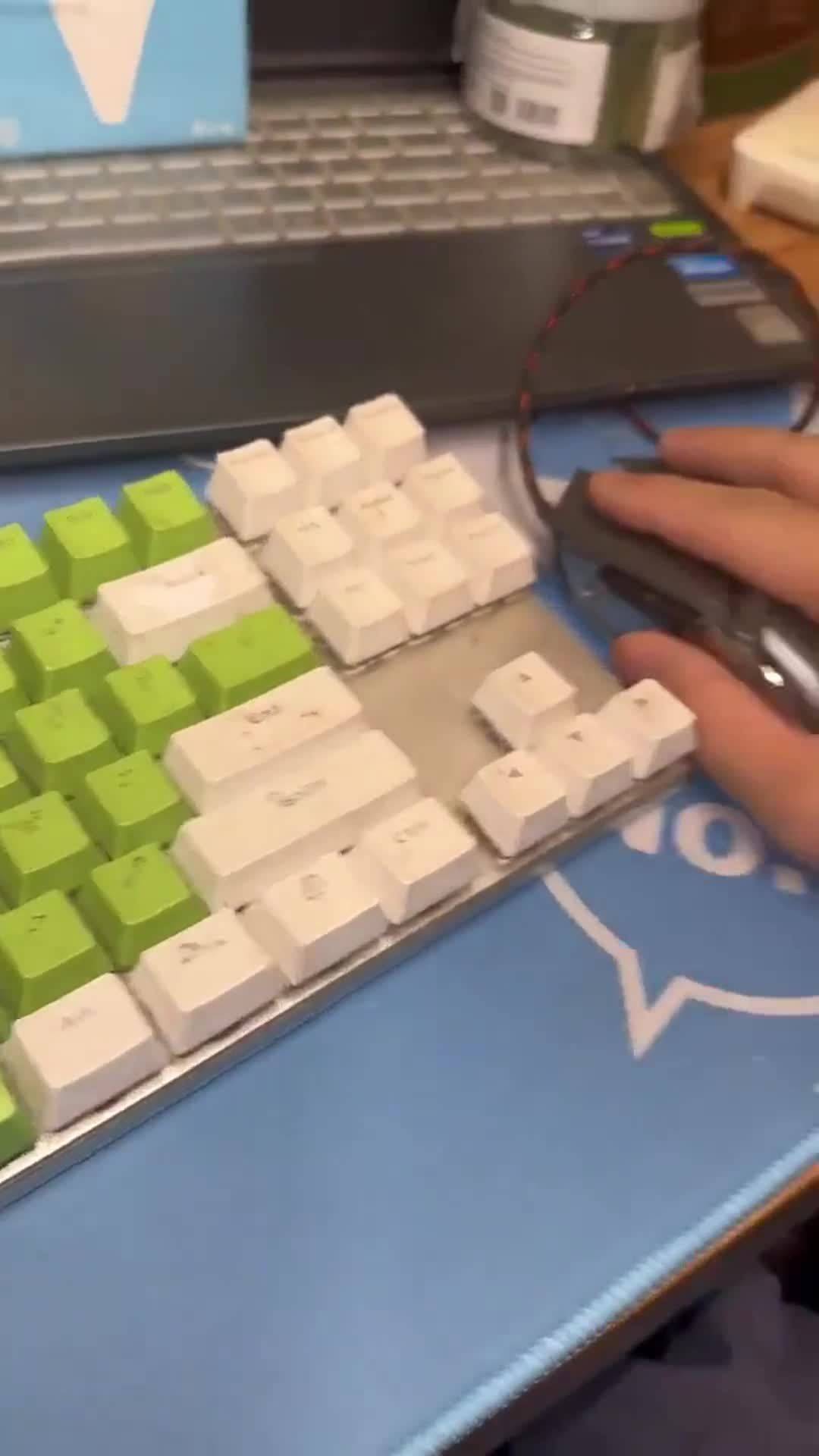 什么是真正的"鼠标"