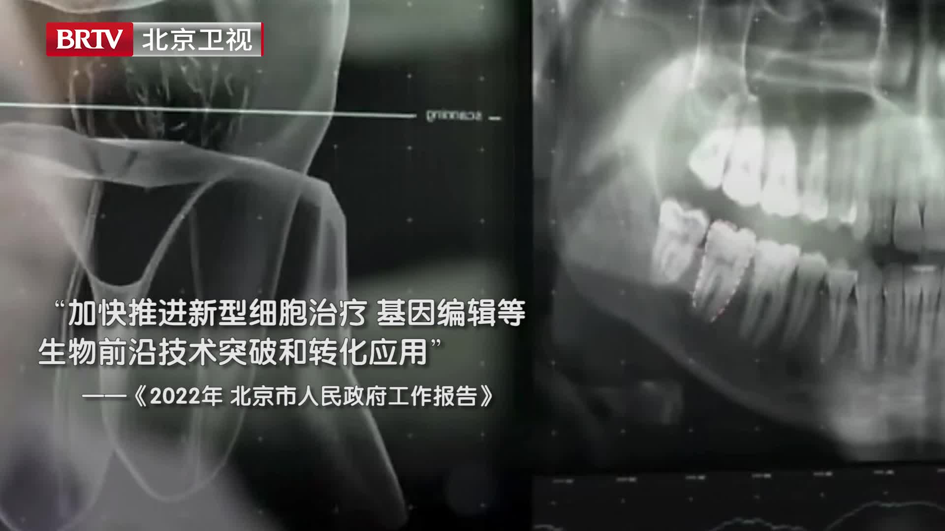 中国研发牙齿再生技术有望让假牙成历史