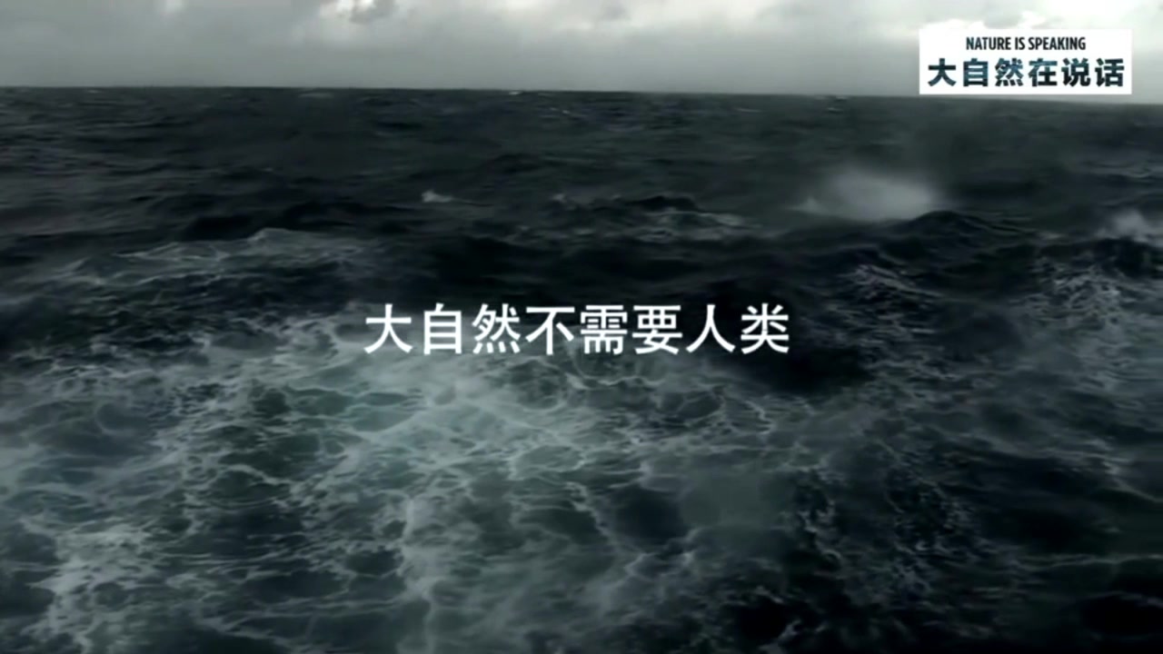 震撼短片《大自然在说话》完整版