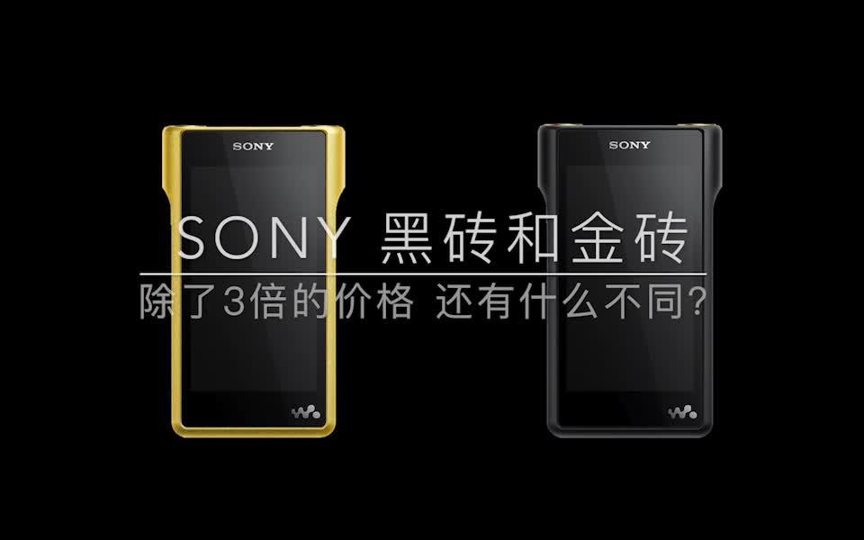 SONY黑砖和金砖 价格差三倍究竟有什么不同