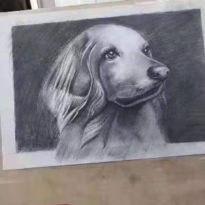 小小的执着也 