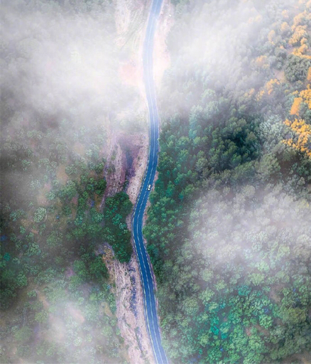 情深不寿0306 