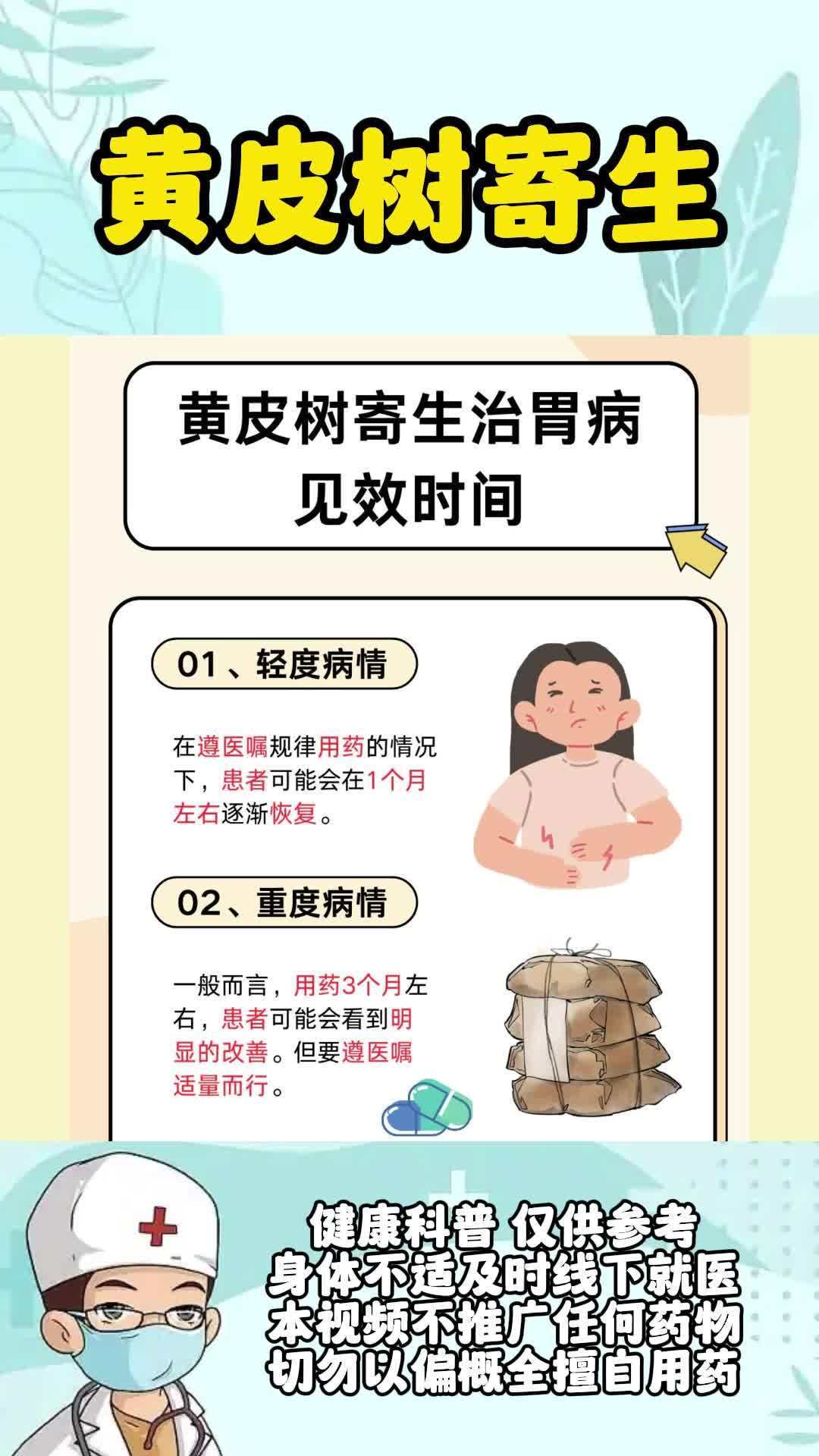 黄皮树寄生治胃病,多久见效?