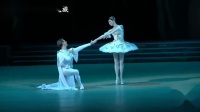 宛如高贵的白天鹅,俄罗斯顶级芭蕾表演