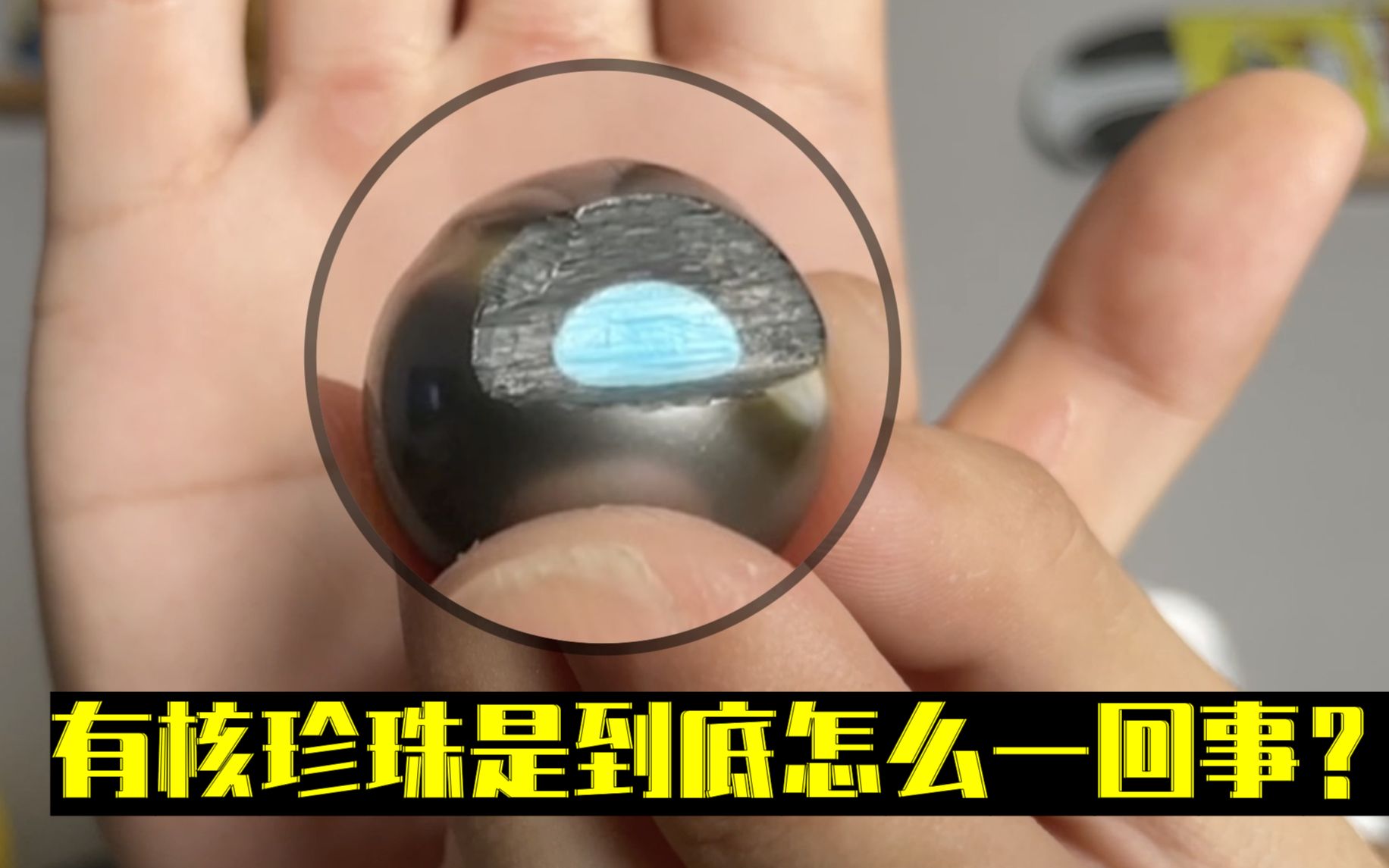有核珍珠和无核珍珠是怎么一回事呢?