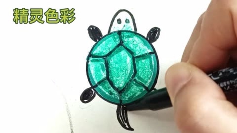 简笔画视频教学教程36乌龟