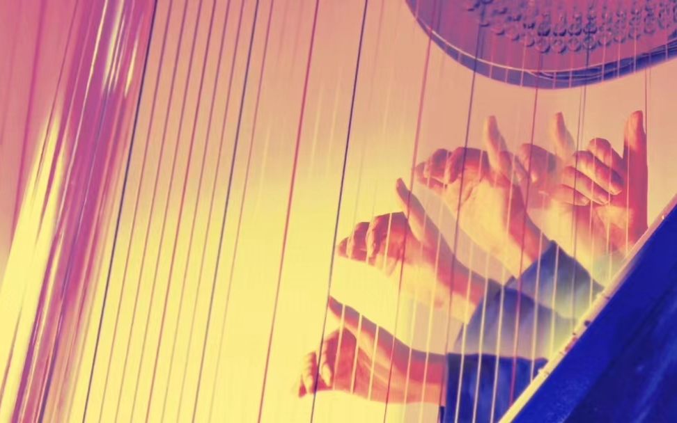 ...The Seal Lullaby 竖琴合唱团 天琴座海妖 一人合奏 作业助眠画画用