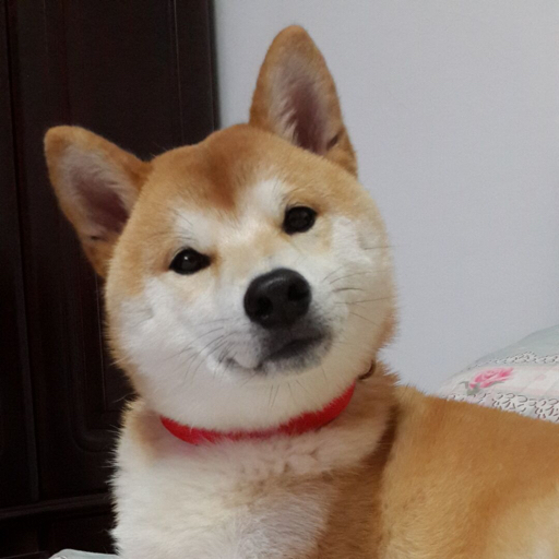 LoongCAD 