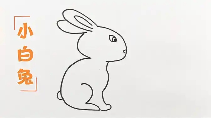 小兔子怎么画好看又简单,可爱的兔子简笔画