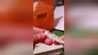 单螺纹起针后织两上两下织法