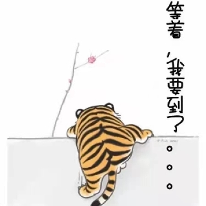 创造极致指挥体验 