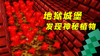 我的世界:探险地狱城堡!发现神秘植物,竟可以召唤怪物?