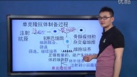 2.2.2 动物细胞融合与单克隆抗体