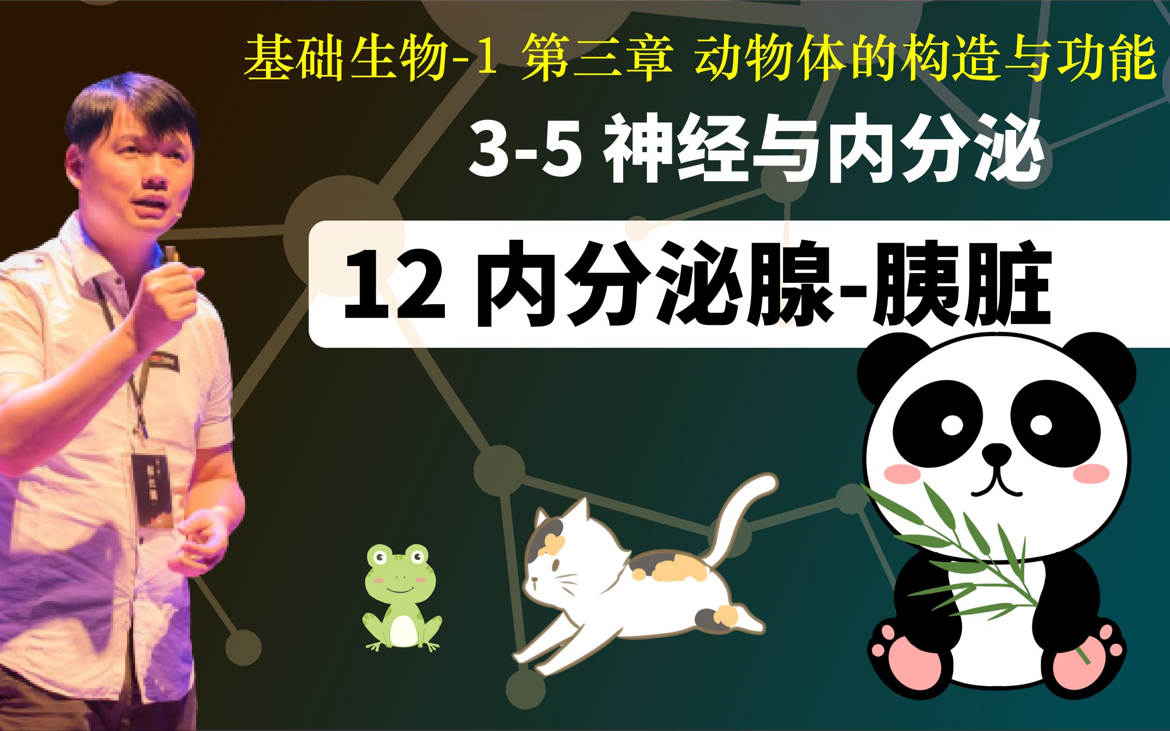 基础生物学3-5.12 内分泌腺 胰脏