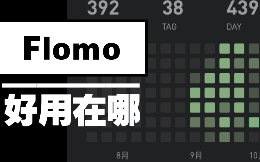 Flomo优点和缺点分析