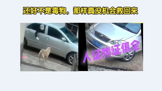 你们抓狗之前都不做背调吗?小黄:打狗不看主人? 知道我的宗门势力有...