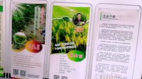 巨型稻立体种养模式交流活动