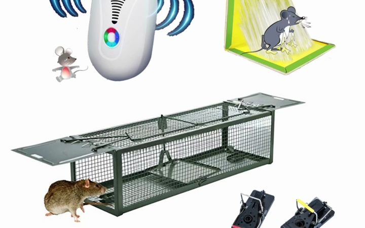 沧州景隆分享:捕鼠工具那么多,到底哪种效果好?