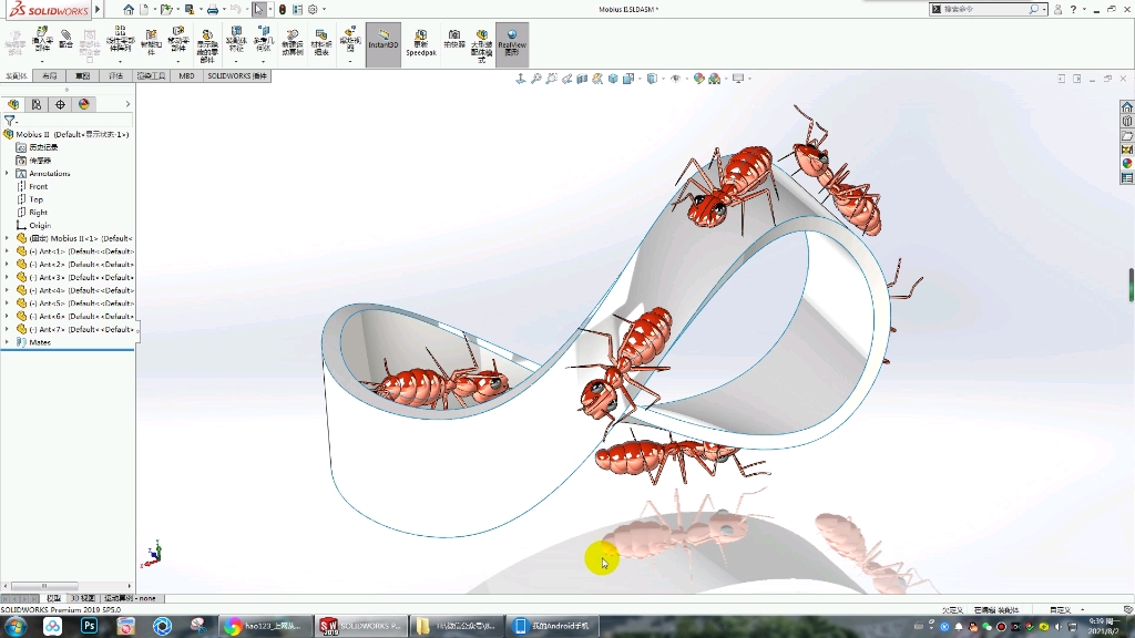大蚂蚁在莫比乌斯环上转圈圈