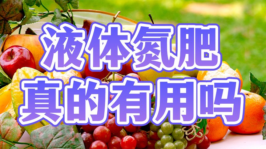 尿素价格上涨 不如使用液体氮肥,用量少、投资低,见效快!