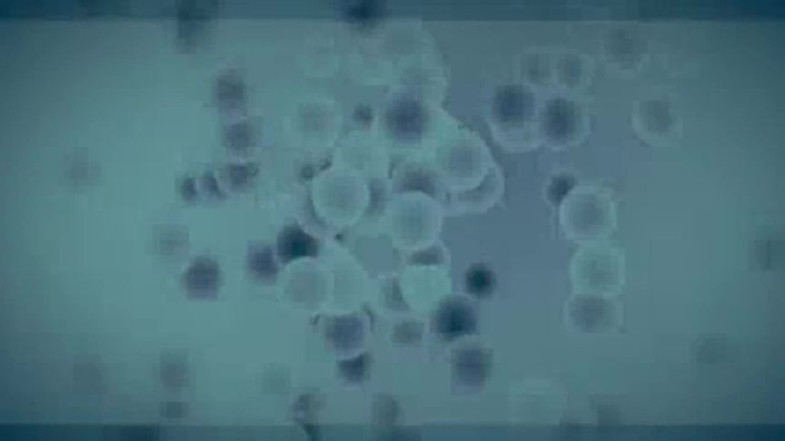 普通生物学:第31讲,植物的结构和功能(十)