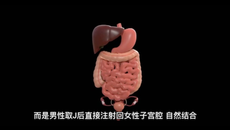 试管婴儿和人工授精有什么区别吗?