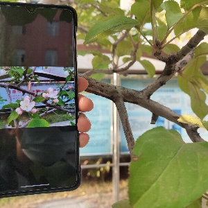 莫名无期 