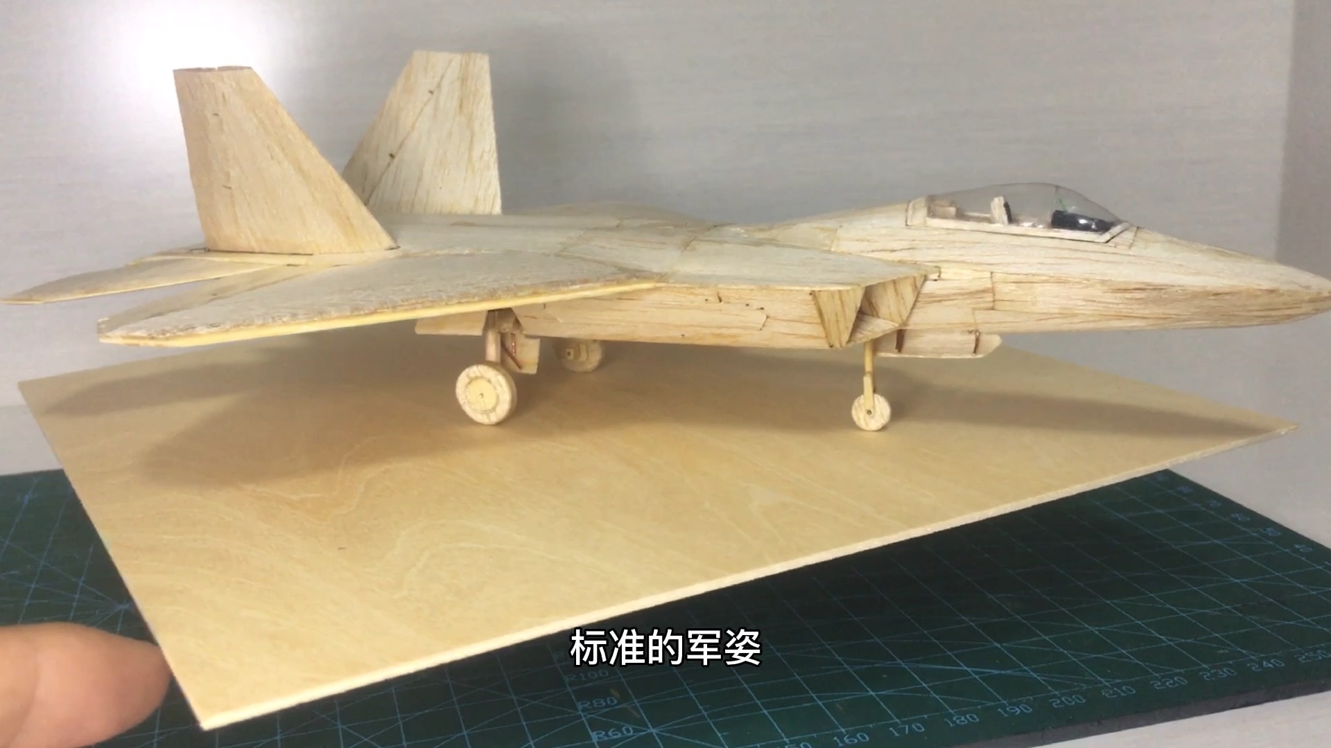 手工制作F22战斗机全结构模型,比例77