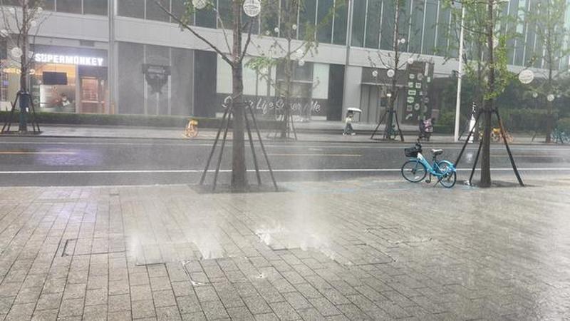 暴雨? 上海台风 我去上班了,这个钱我赚定,地板砖都要飞起来了????