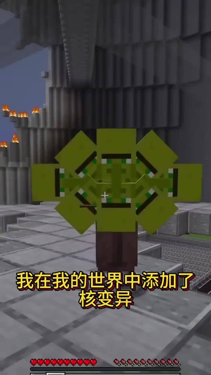 我在我的世界中添加了核变异