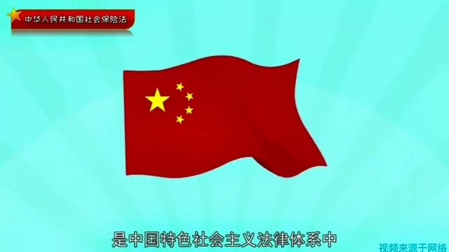 一分钟了解中华人民共和国社会保险法#法律常识 #法律科普