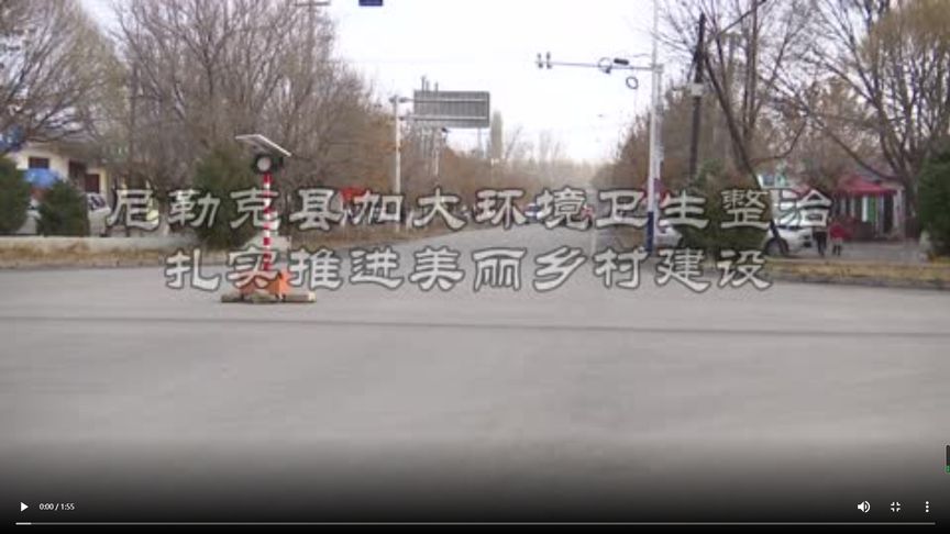 尼勒克县加大环境卫生整治 扎实推进美丽乡村建设